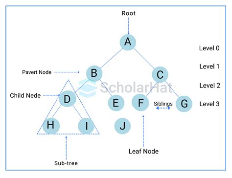 Introduction To Non Linear Data Structures