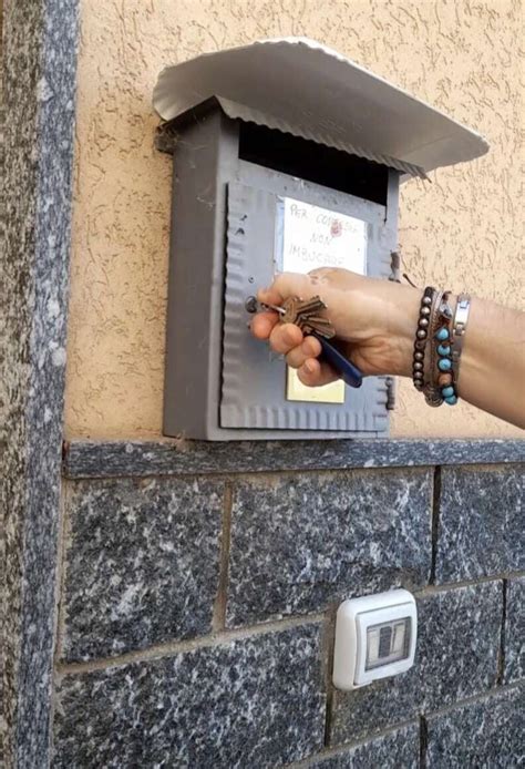 Woman Goes To Check Mailbox And Discovers A Babe Family Living Inside The Dodo