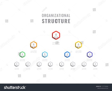 Organizational Structure Company Business Hierarchy Hexagonal 库存矢量图（免版税
