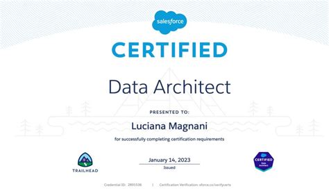 Dataarchitect Dataarchitecture Salesforce Salesforcecertified Salesforcearchitect Luciana