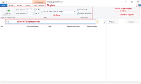 bienvenue · wise duplicate finder manual