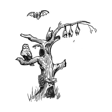 Habitat Tree For Biodiversity And Habitats