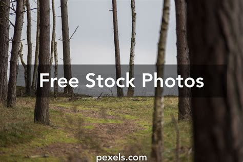 Branching Path Diagram Photos Download The Best Free Branching Path Branching Path Diagram Photos Download The Best Free Branching Path