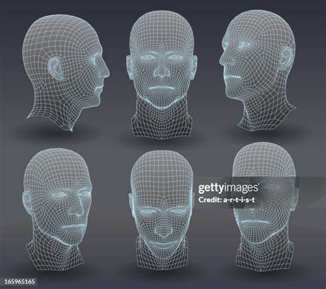 Three Dimensional Heads High Res Vector Graphic Getty Images