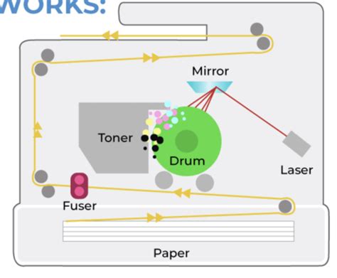 How Does A Laser Printer Work Flashcards Quizlet