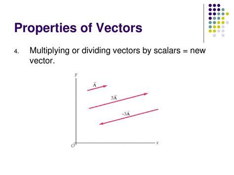 what is a vector and scalar scalar and vector quantities dp ib physics