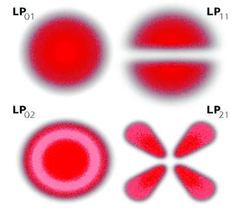 Four First Lp Modes Download Scientific Diagram
