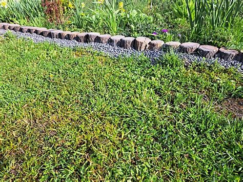 Stonewood Tree Log Brown Paving Edging 40pcs 146lm Stonewood Tree Log Brown Paving Edging 40pcs 146lm