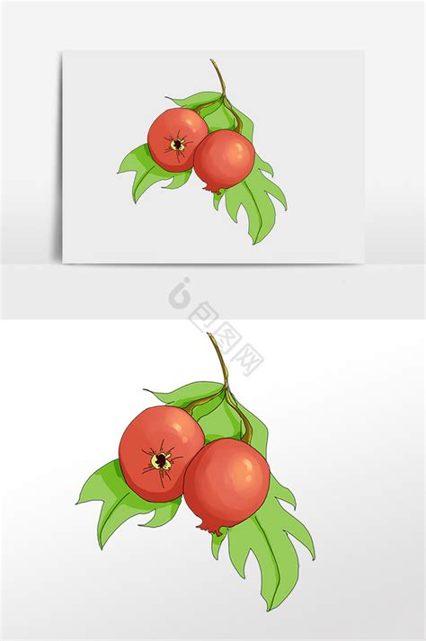 山楂果实元素png 山楂果实元素png素材 【包图网】