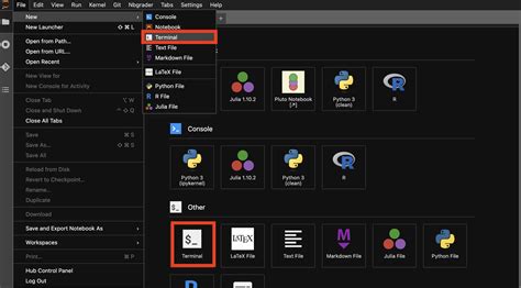 Kb0032773 Datahubdsmlp Grading Tool Nbgrader Information Technology