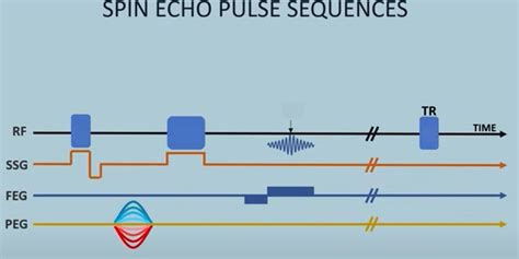 Lesson 39 40 Spin Echo Pulse Sequence And Fast Spin Echo And Inverse