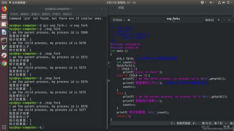 Linux Fork函数详解 Csdn博客