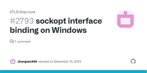 Sockopt Interface Binding On Windows · Issue 2793 · Xtlsxray Core