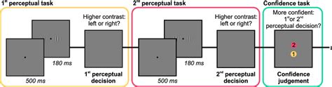 Trial Procedure Of The Confidence Forced Choice Paradigm Participants Download Scientific