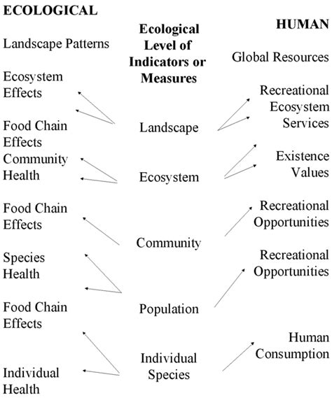 Biomonitoring And Bioindicators For Human And Ecological Health