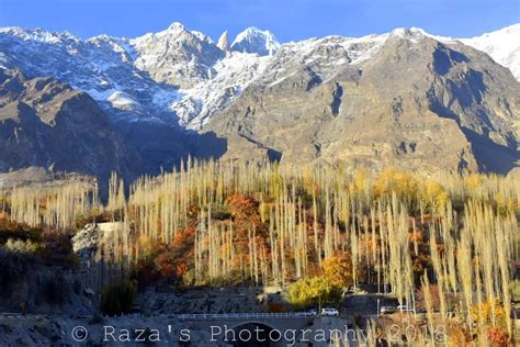 Asif Raza Insearch Pk