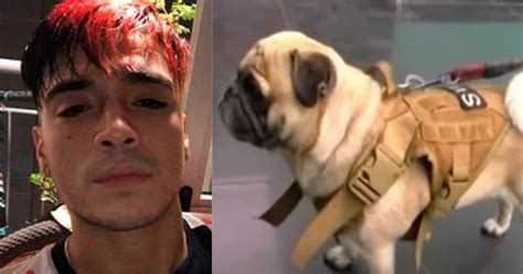 Dueño Que Golpeó A Perrito Pug Quedará En Libertad Pj Ordenó Prisión