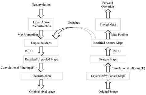 Schematic Diagram Of The Deconvolution Download Scientific Diagram