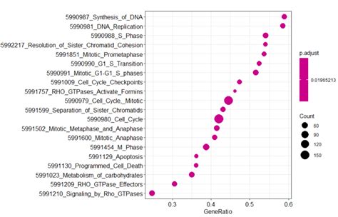 基因集富集分析 Gene Set Enrichment Analysis Gsea） 知乎