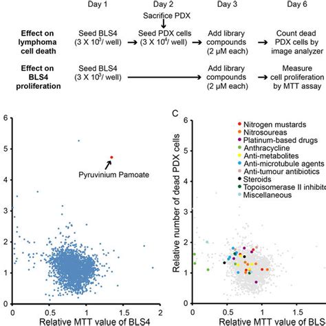 Development Of Pdx Cell Screening A Flowchart Of Pdx Download Scientific Diagram
