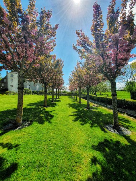 Living The Chateau Dream… Day 22 The Gary Effect Livonne