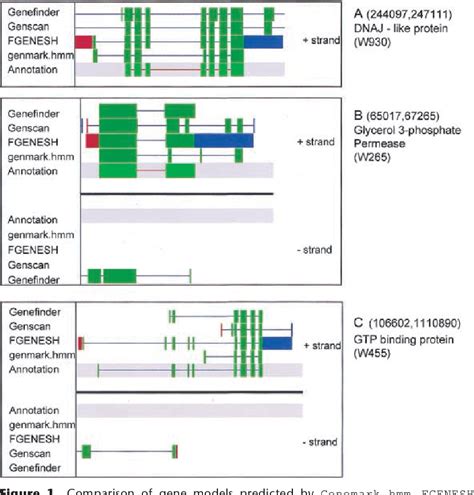 Figure 1 From Conservation Of Microstructure Between A Sequenced Region