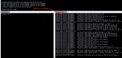 如何支持keepalived 无法负载到dns2服务器上 · issue 1307 · pymumu smartdns · github