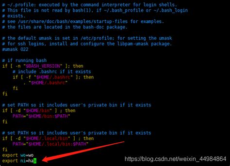 linux修改当前用户环境变量永久生效 linux修改用户变量 csdn博客