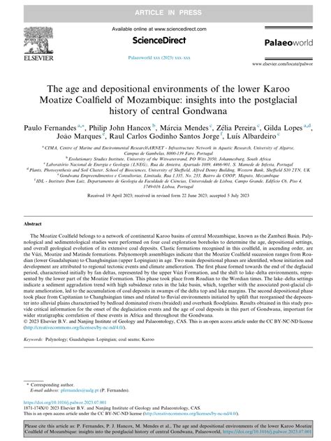 Pdf The Age And Depositional Environments Of The Lower Karoo Moatize
