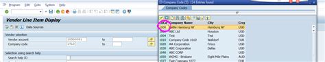 How To Hide Company Code Payment Term From Value SAP Community