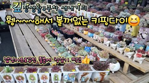 25년1월5일키핑장 3주차 새내기의 휑~~한 키핑다이냅킨아트 플분에 창심으니 딱 좋아요👍천천히 채워가며 즐기려구요 Youtube