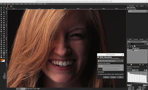 GIMP And GEGL In GIMP