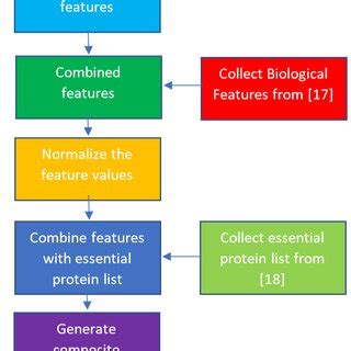 Block Diagram Of The Data Representation Download Scientific Diagram