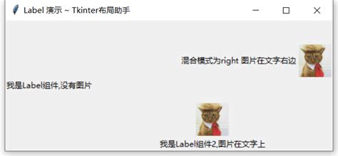 TKinter Label标签组件 Tkinter布局助手