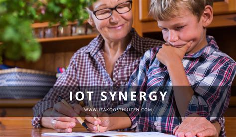 Sustainability Iot Synergy Izak Oosthuizen