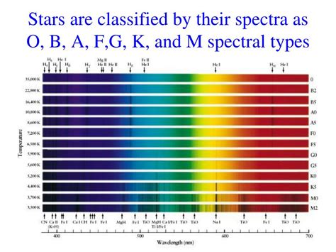 Ppt Chapters 10 And 11 The Sun And The Characterizing Stars Powerpoint Presentation Id478435 Ppt Chapters 10 And 11 The Sun And The Characterizing Stars Powerpoint Presentation Id478435