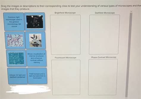 Solved Drag The Images Or Descriptions To Their