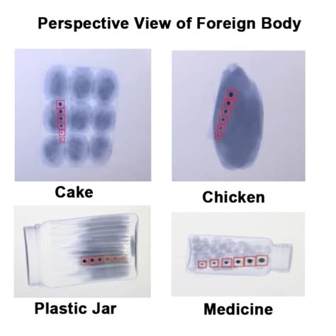 Cost Effective Foreign Body Detection Food Products X Ray Inspection System X Ray Inspection