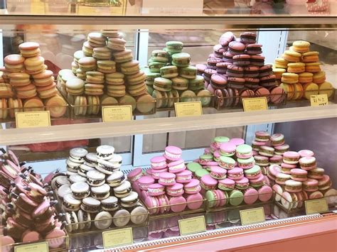 착한 케이크 And 마카롱 대구 달서구 성서 계명대 맛집검색 식신