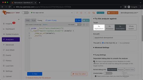 Dynamic Tracing Custom Go Programs With Custom Ylang Analyzers Using