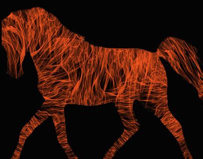 Maryam Abdullah Behance