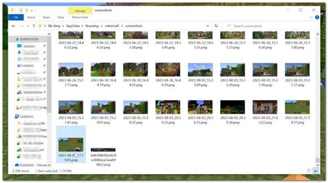 How To Screenshots In Minecraft Easiest Game Screen Capture