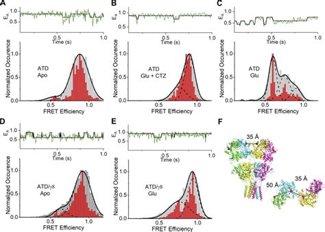 Conformational Landscape At The Atd Of The Glua2 Receptor A E Smfret Download Scientific