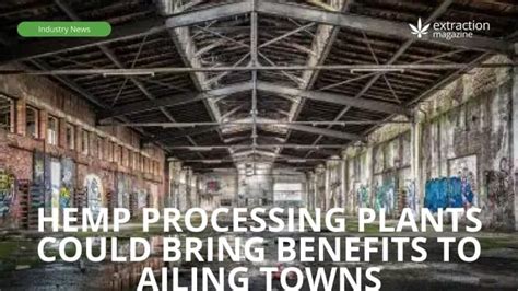 Hemp Processing Plants Could Bring Benefits To Ailing Towns