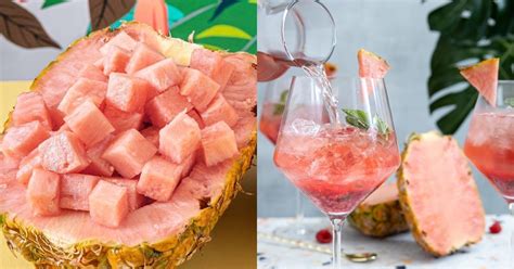 델몬트가 16년 연구 끝에 개발에 성공한 요상한 색깔의 파인애플 영상가격 위키트리