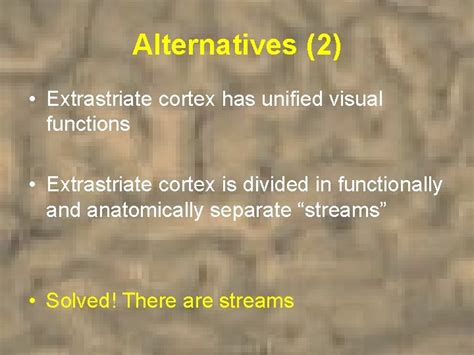 Object Vision And Spatial Vision Two Cortical Pathways