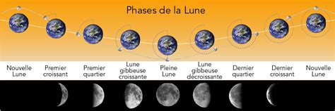 Compatibilité Phase De Lune Compatibilité De Lune Xvfpik
