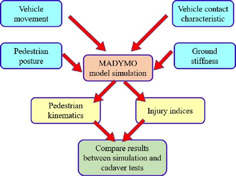 steps followed in assessing the multibody models download scientific