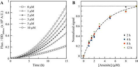 A Nir Fluorescent Arsenite Biosensor A Integration Over Time Of The