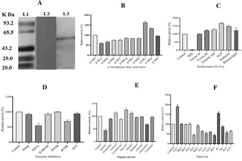 Characterization Of Enterobacter Cloacae Lipase A Sds Page